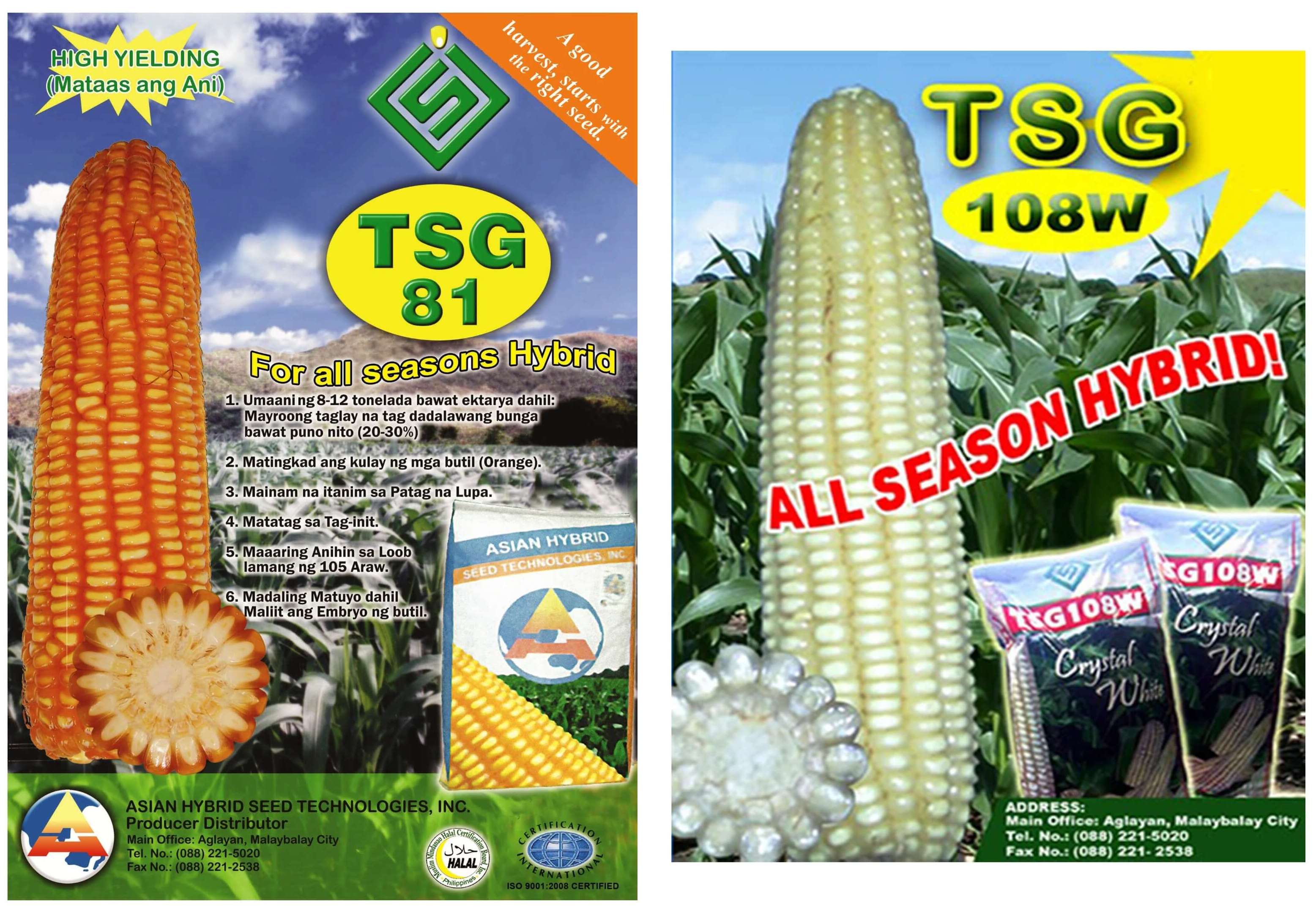 TSG1 | Asian Hybrid Seed Technologies, Inc.